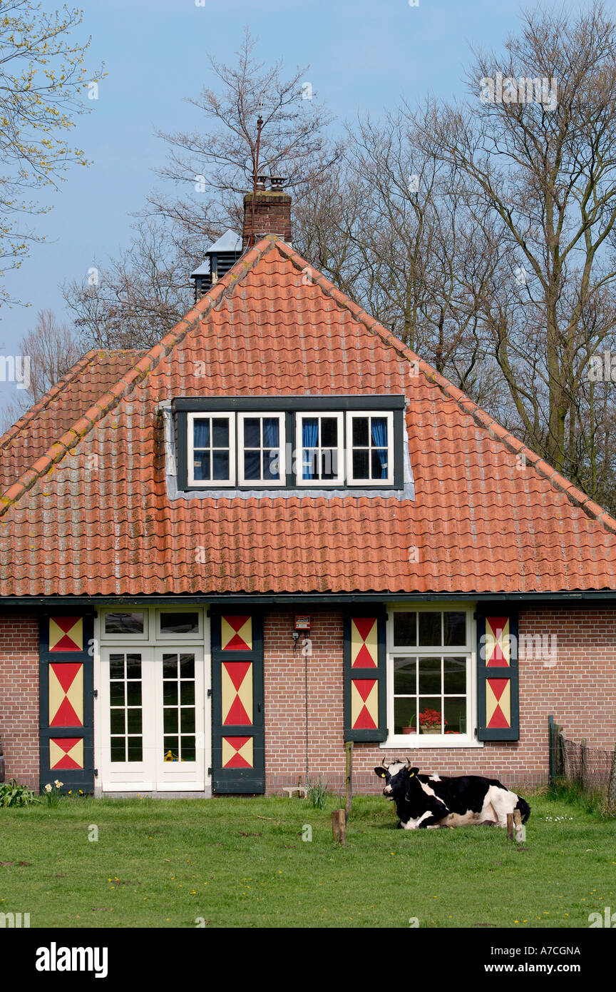 Castricum hi-res stock photography and images - Alamy