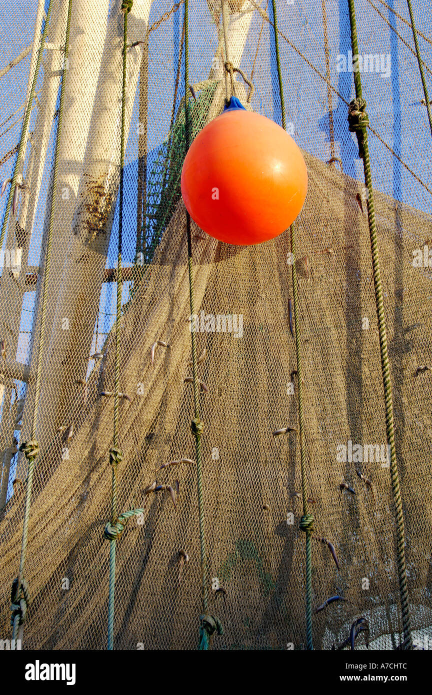 Fishernet hi-res stock photography and images - Alamy