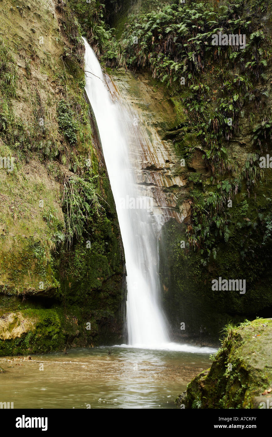 Tangoio falls new zealand hi-res stock photography and images - Alamy