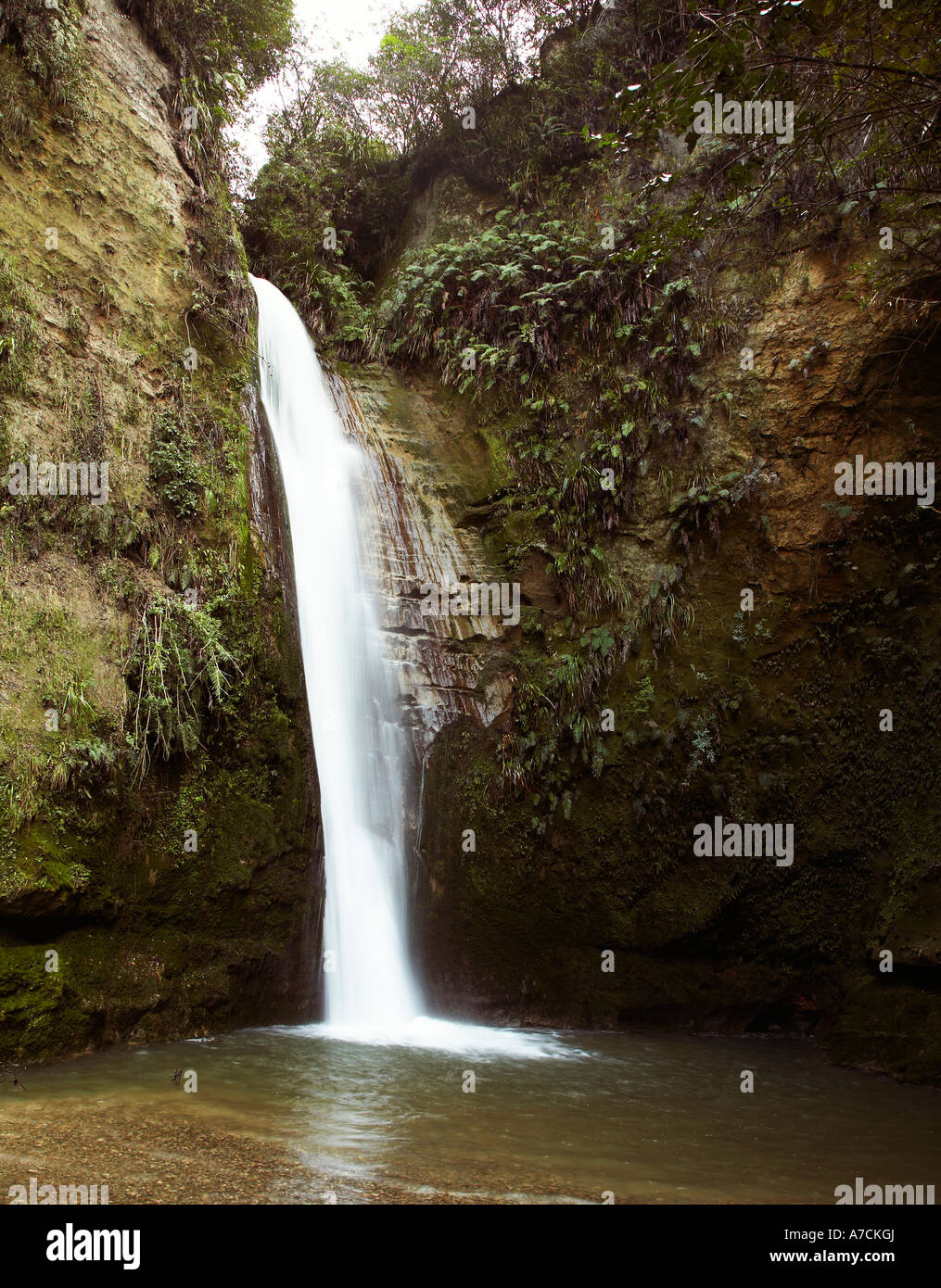 Kareaara Stream and Te Ana Falls on Tangoio Walkway Stock Photo - Alamy