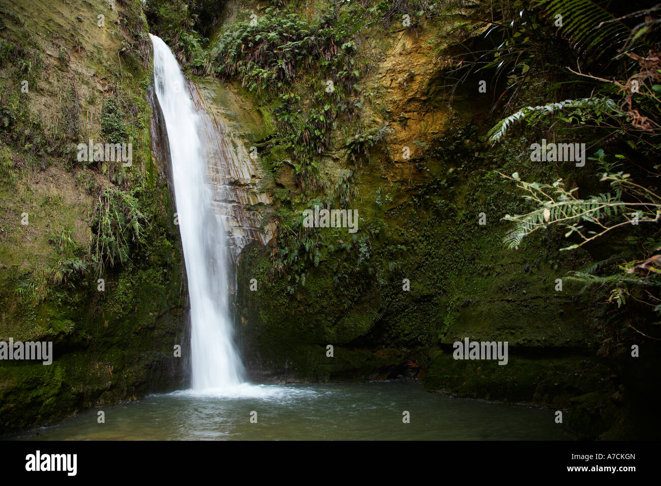 Tangoio hi-res stock photography and images - Alamy