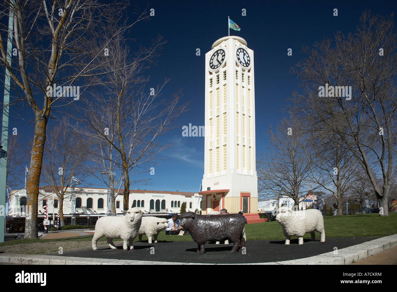 hastings city square clock tower and sheep sculptures Stock Photo - Alamy