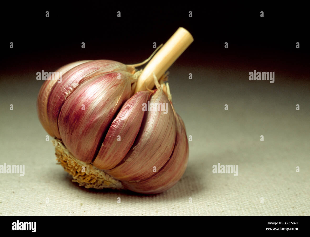 Of garlic hi-res stock photography and images - Alamy
