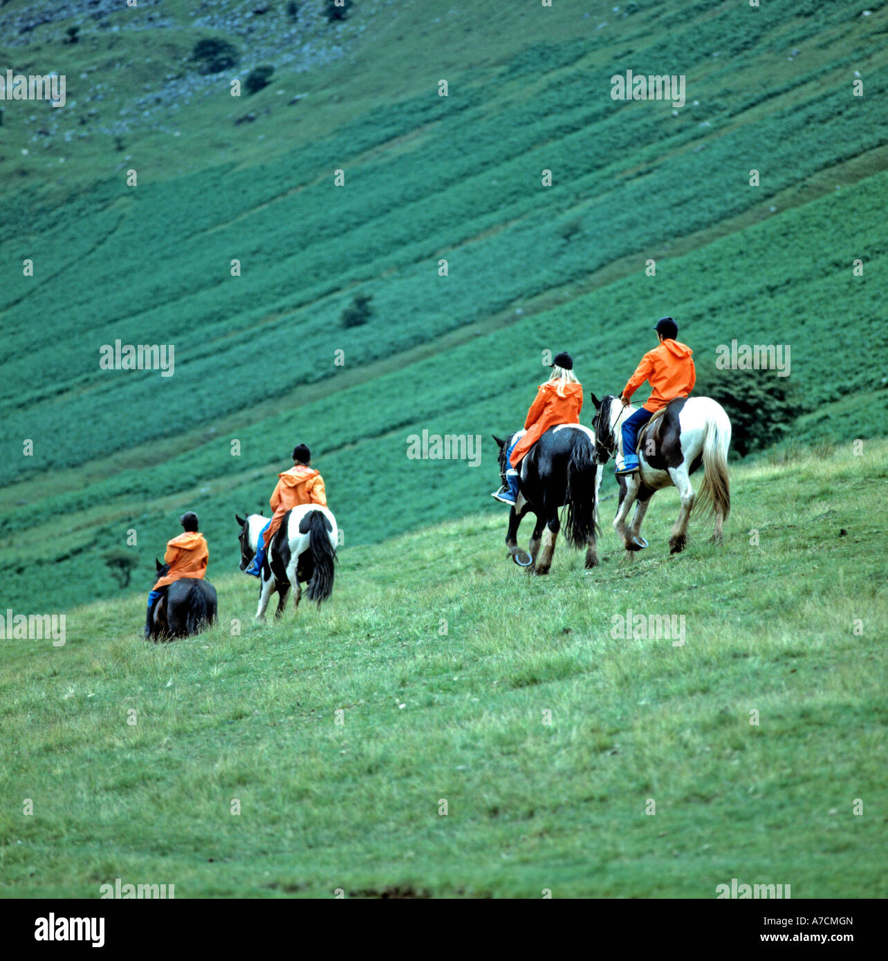 Pony trekking in wales hi-res stock photography and images - Alamy
