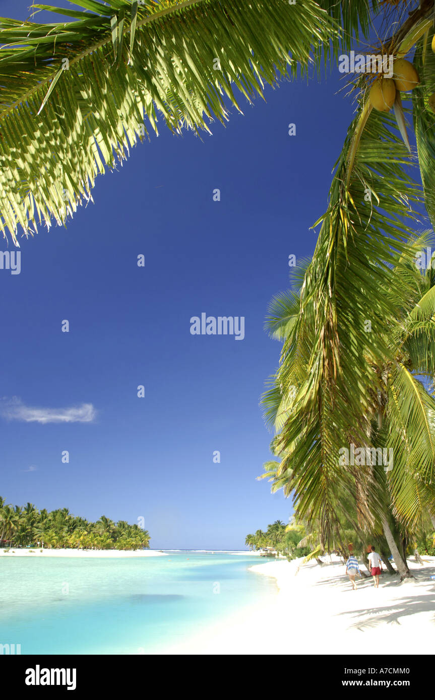 Aitutaki Lagoon in the Cook Islands Stock Photo - Alamy