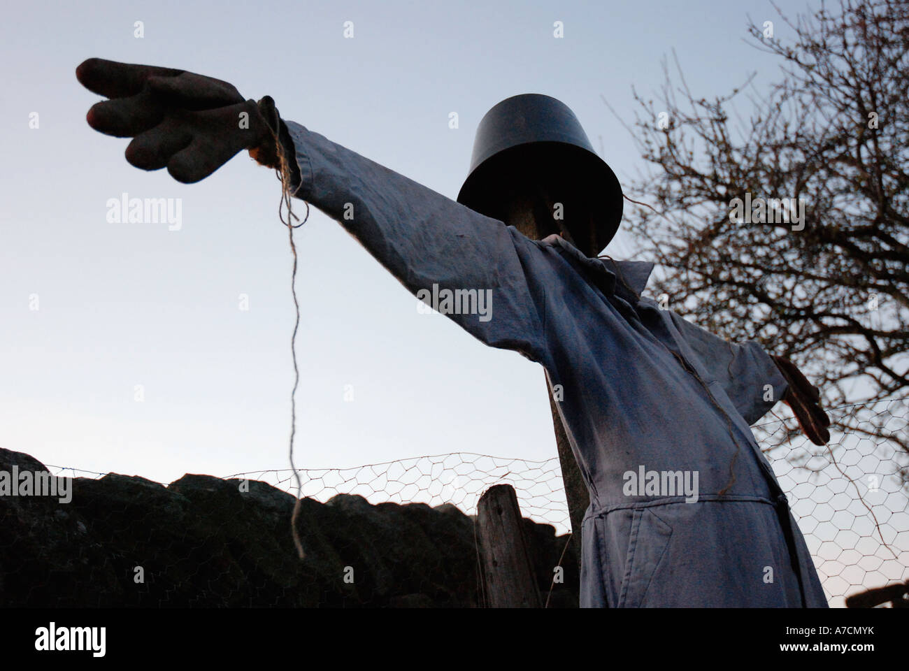 Scarecrow on garden vegetable plot Stock Photo - Alamy