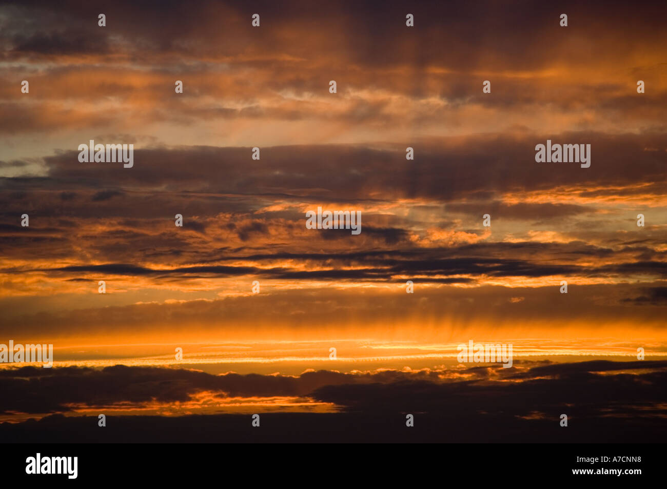 sunset skyscape bands of clouds banks of clouds shafts of sunlight ...