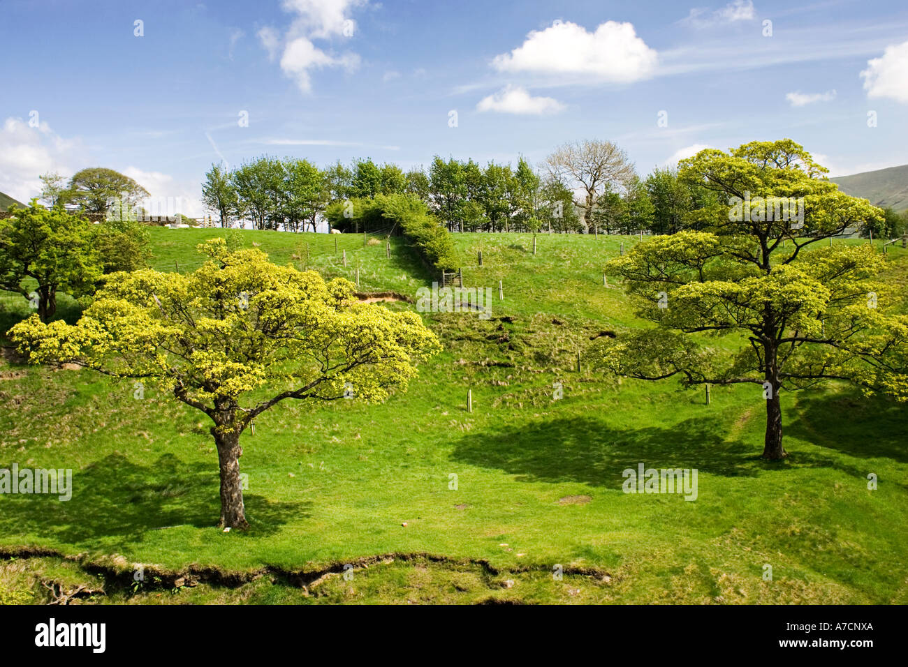 Grindsbrook Booth Near Edale Walking Along A Footpath Towards "Kinder ...