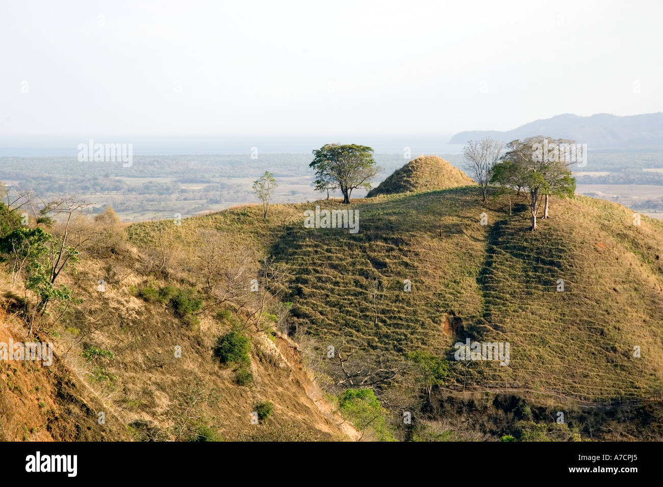 Panama countryside hi-res stock photography and images - Alamy