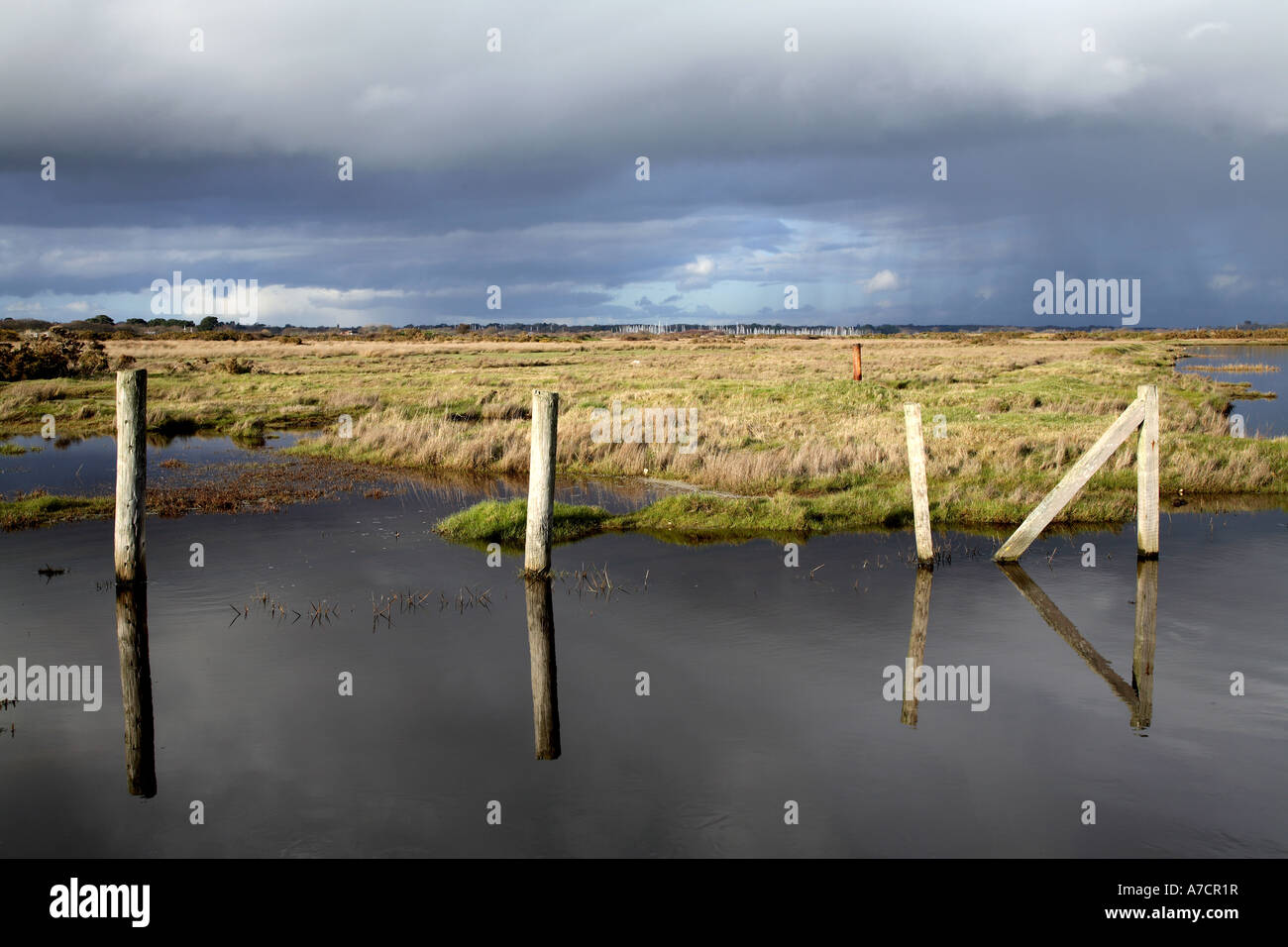 Keyhaven / Lymington salt marshes, Hampshire, England: Views of dark ...