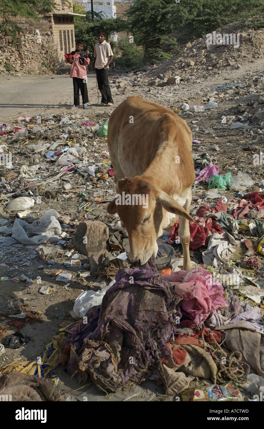 Feeding the poor in india hi-res stock photography and images - Alamy