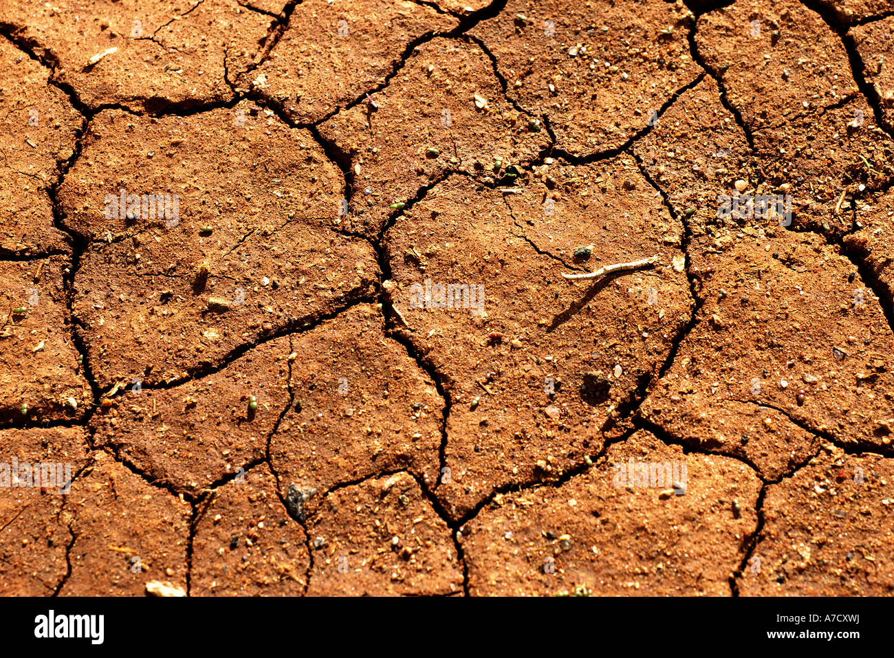 dry lake bed Stock Photo - Alamy