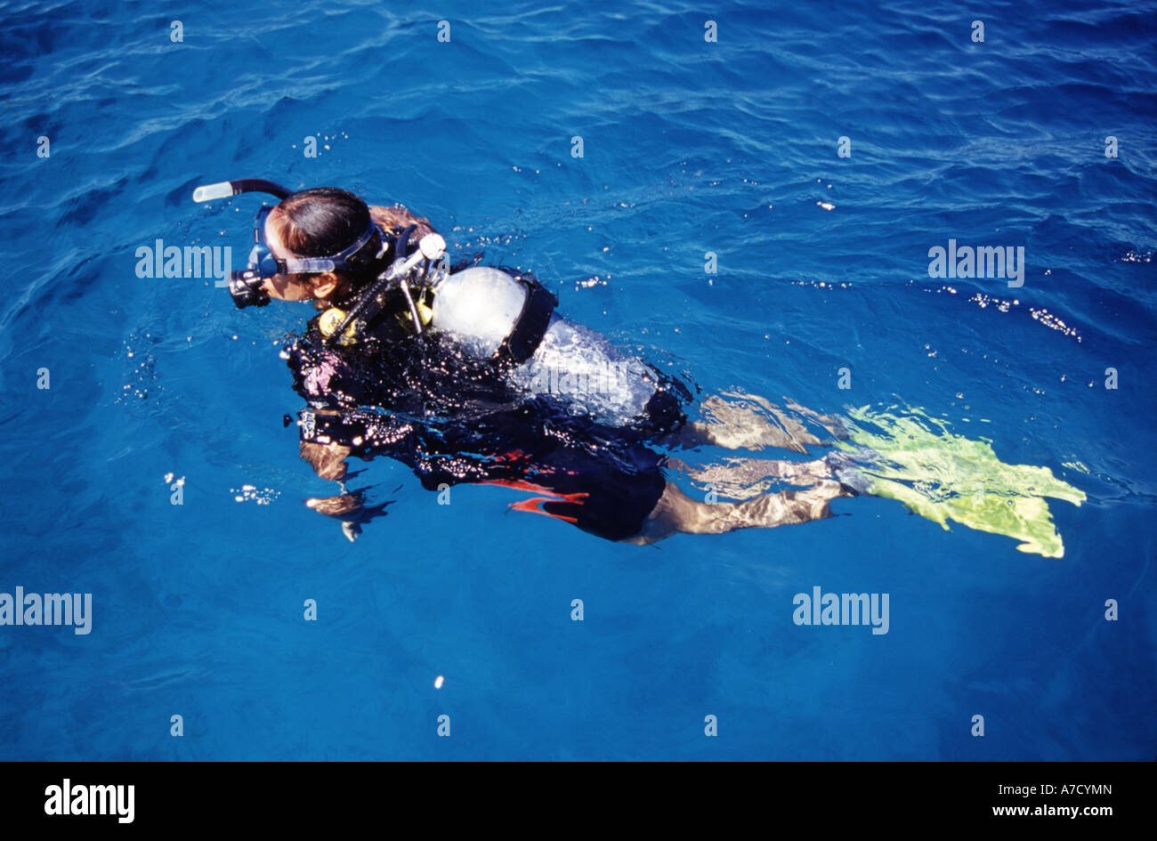 Great Barrier Reef, Diving Stock Photo - Alamy