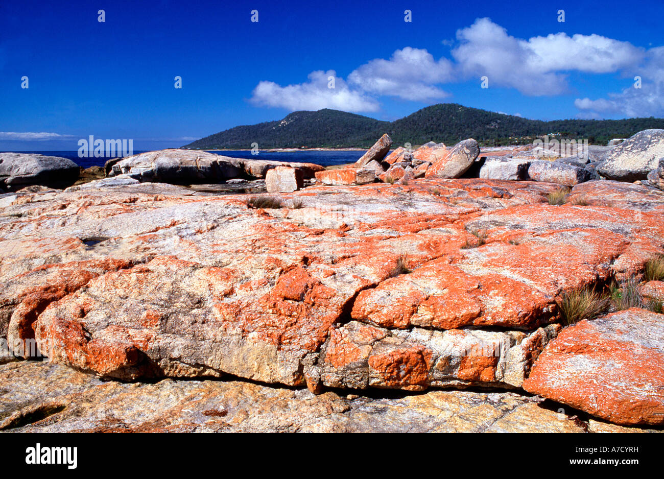 Binalong Bay Beach, Day Stock Photo - Alamy