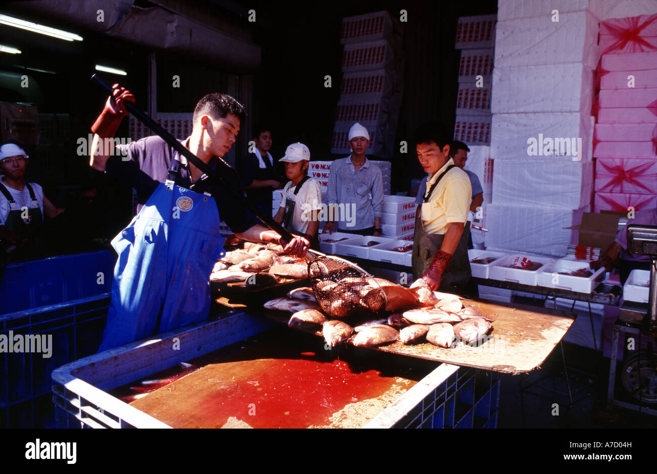 Fish Processing Factory Stock Photo - Alamy