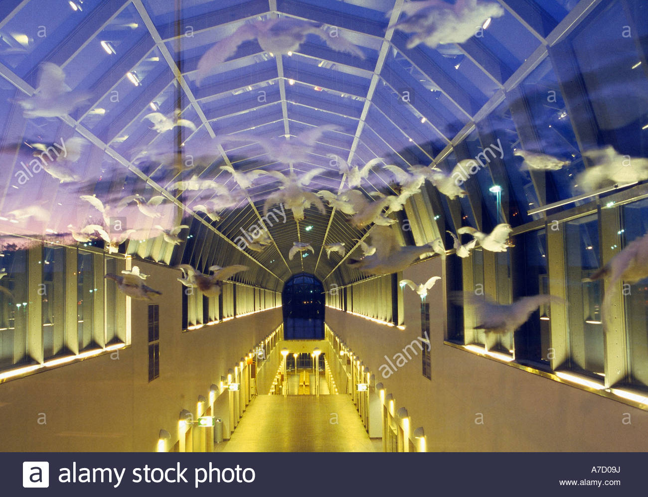 Arktikum Rovaniemi Stock Photos & Arktikum Rovaniemi Stock Images - Alamy