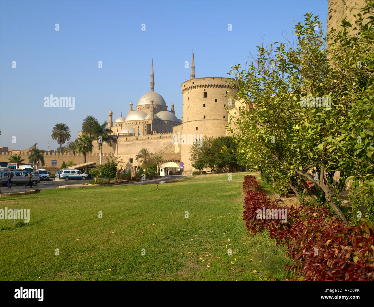 Al ali hi-res stock photography and images - Alamy