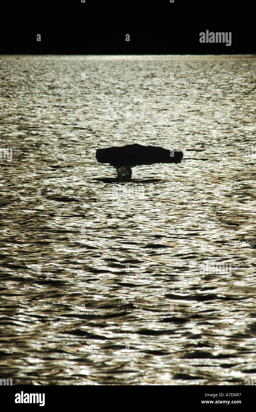 Floating ice table on Laguna Grey, Torres del Paine National Park ...