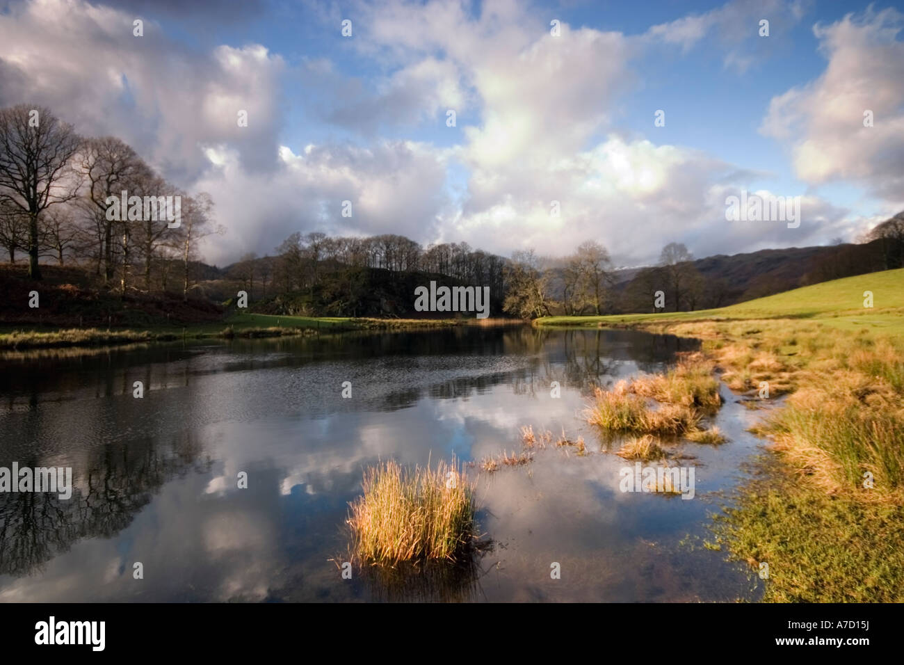 Clouds and trees reflected in the still waters of the river at ...