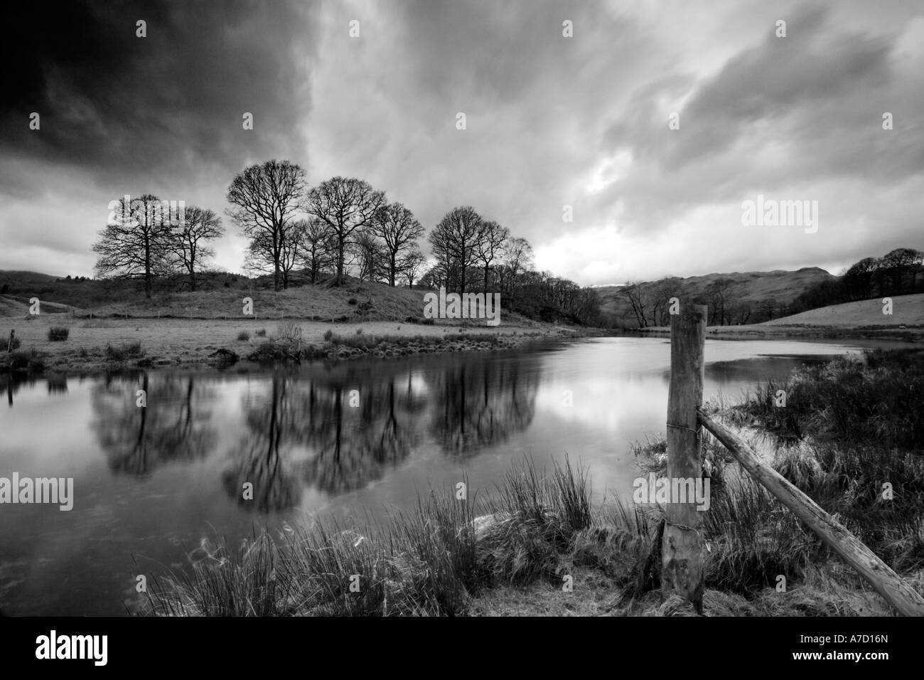 Reflections of Winter trees in Elterwater The Lake District Stock Photo ...