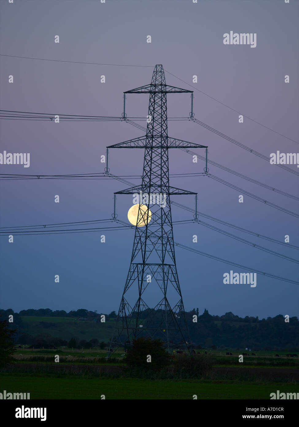 Electricity Pylons Nr. Dungeness Stock Photo - Alamy