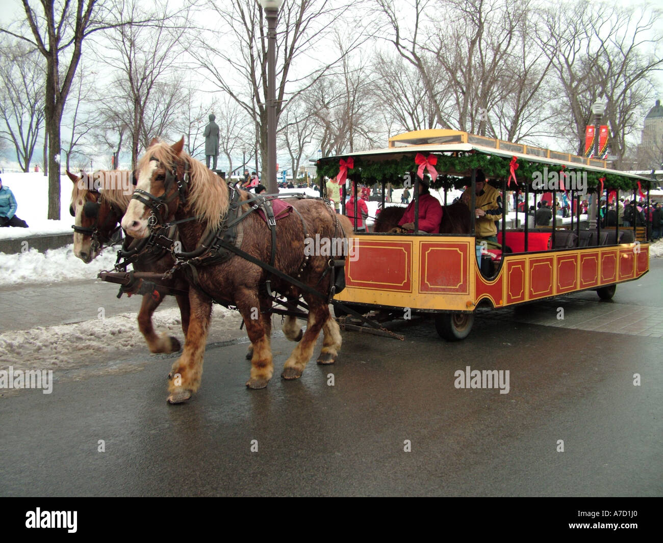 Horse drawn wagon winter hi-res stock photography and images - Alamy