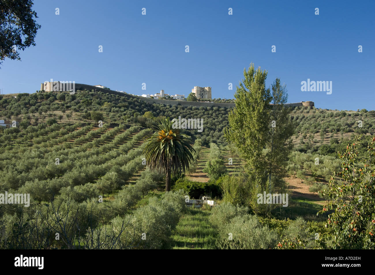 Portugal, the Alentejo, Evoramonte Castle Stock Photo - Alamy