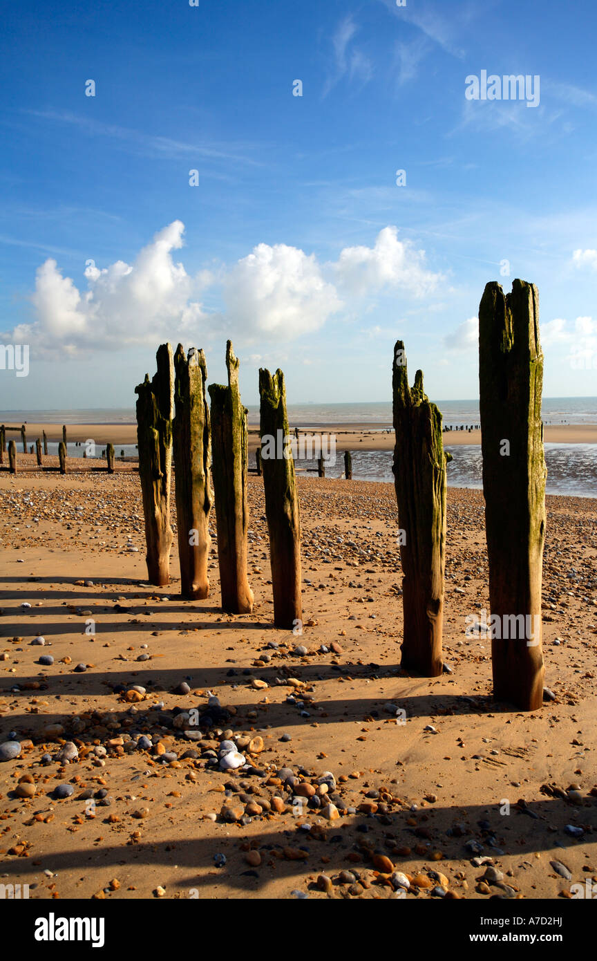 Winchelsea Beach Groynes Stock Photo - Alamy