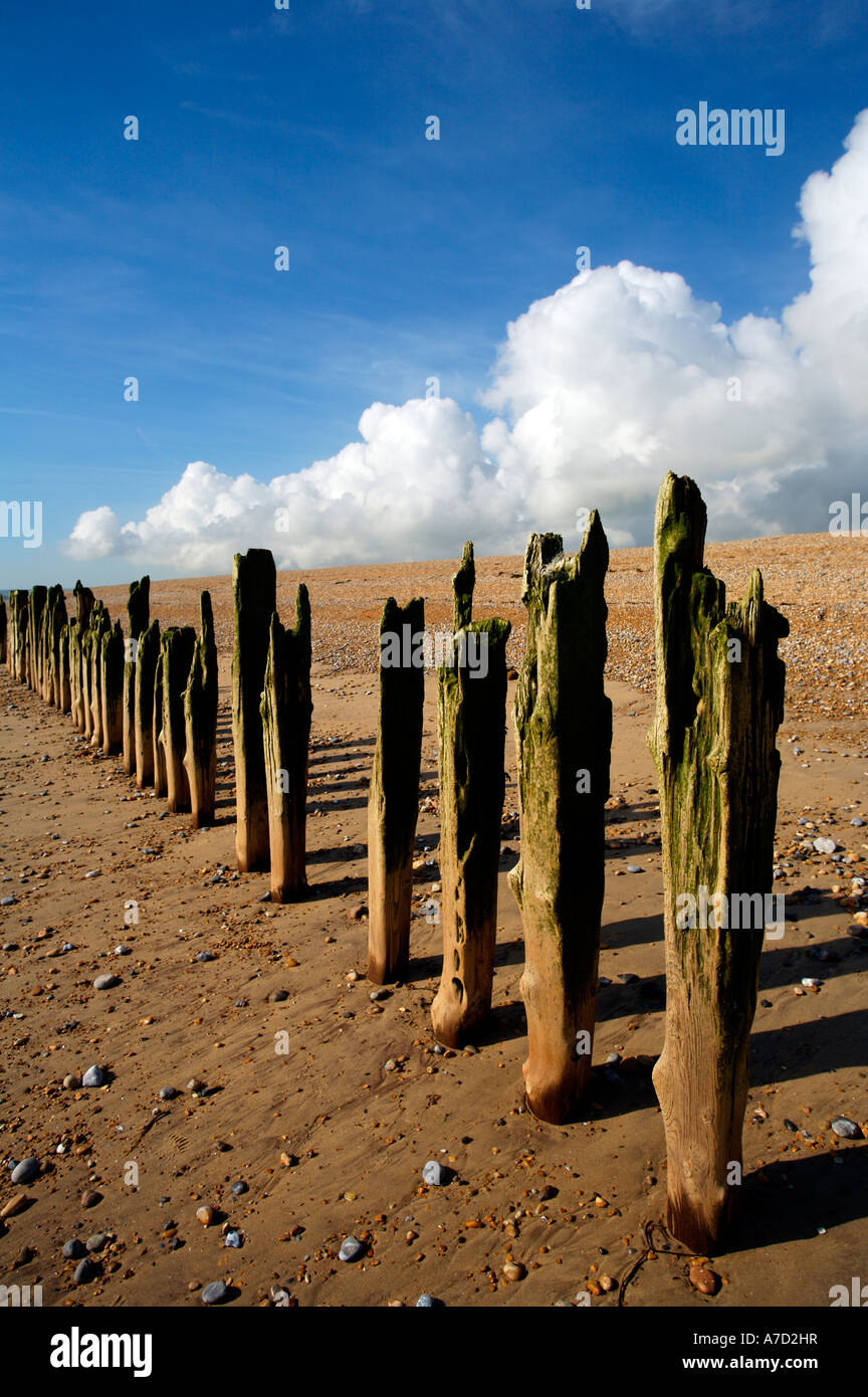 Beaches groynes hi-res stock photography and images - Alamy