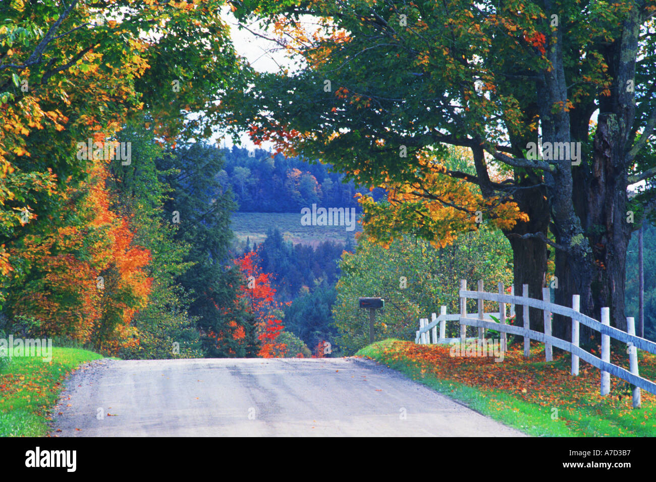 Fall foliage along a country road in upstate New York Stock Photo - Alamy