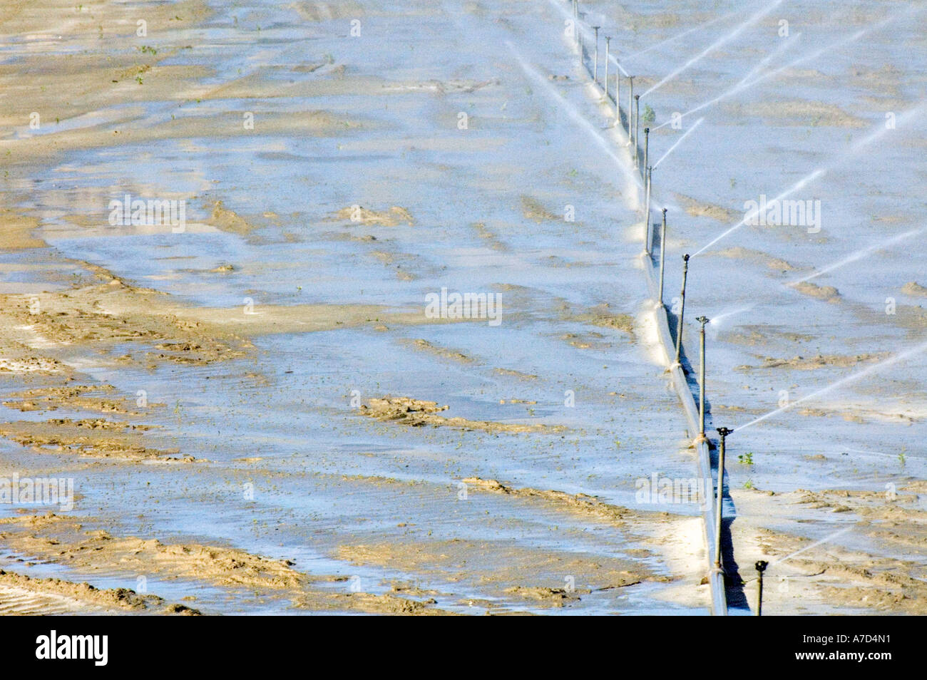 Dust control sprinklers in Southern California Stock Photo - Alamy