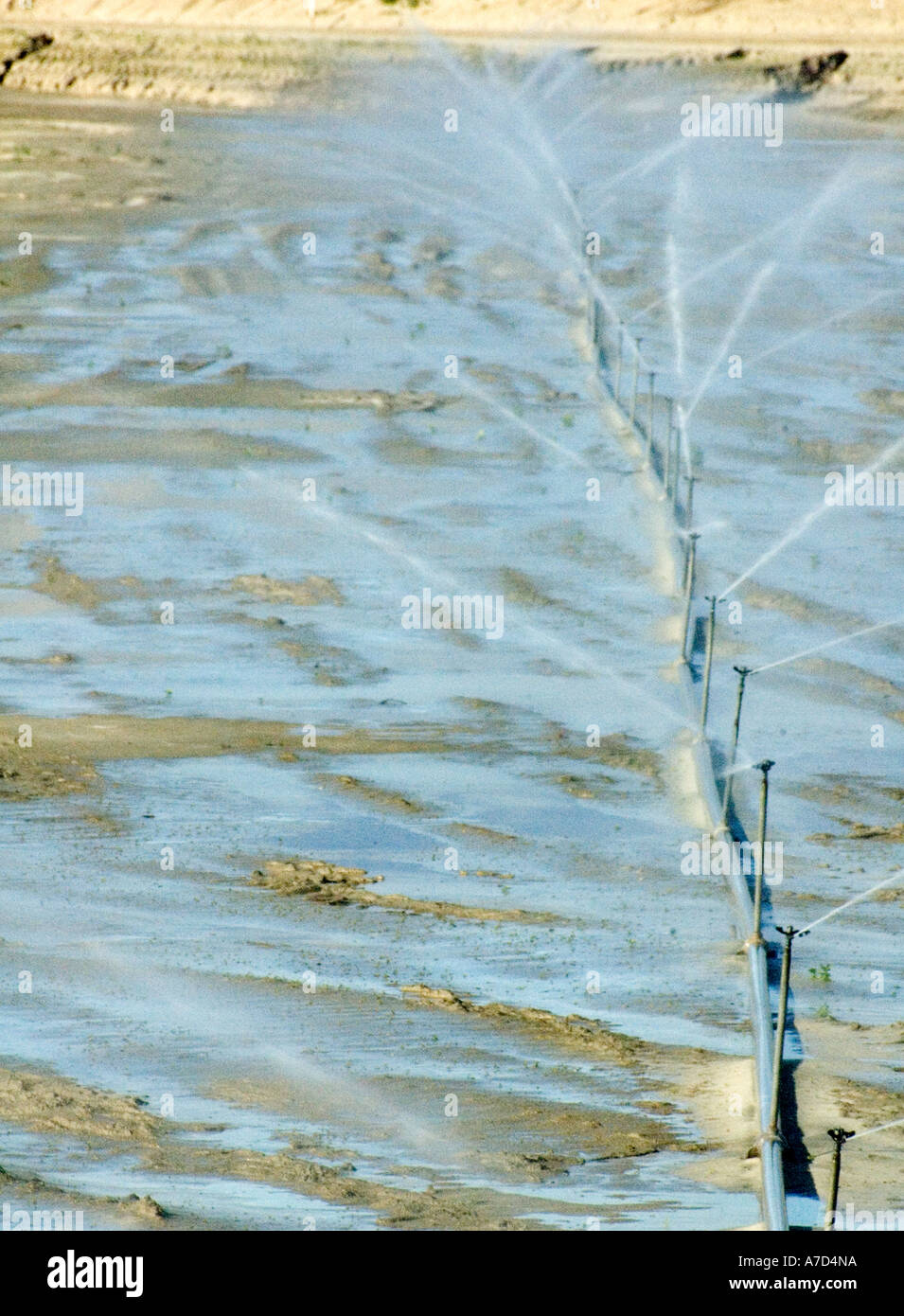 Dust control sprinklers in Southern California Stock Photo - Alamy