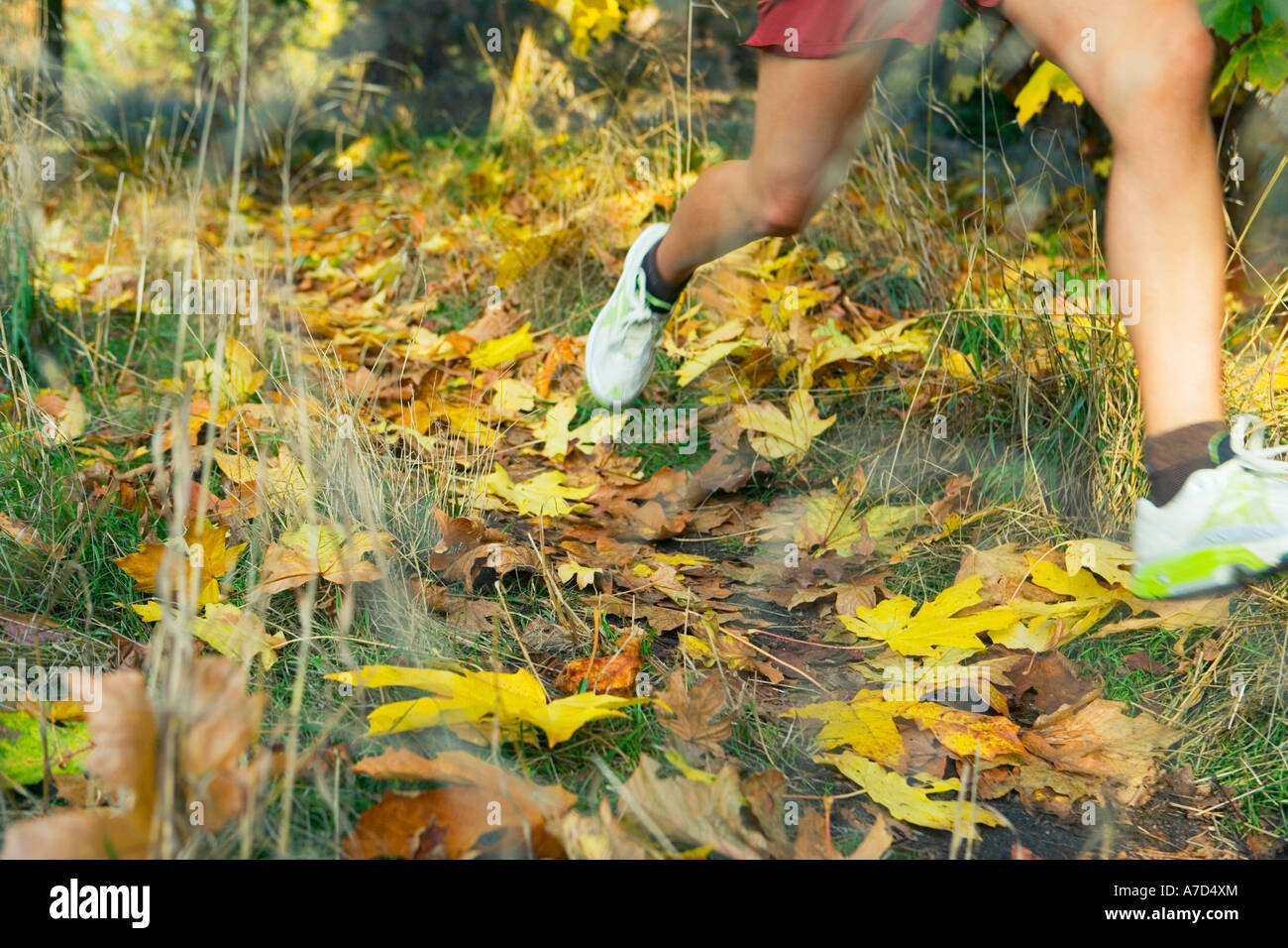 Young woman seen from waist down jogging in fall colors Stock Photo - Alamy