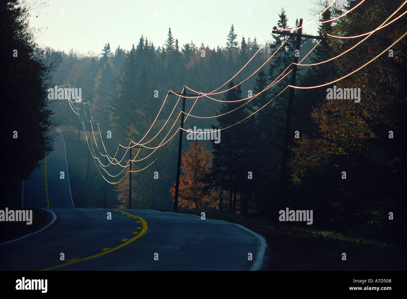 Power lines along country road reflecting sunlight in North America ...