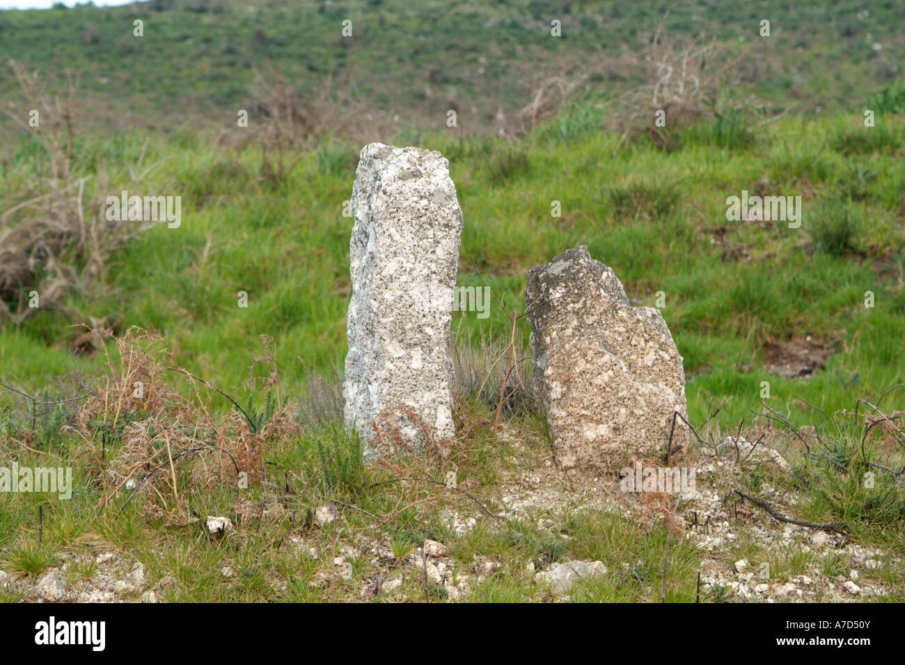 Marking on property hi-res stock photography and images - Alamy