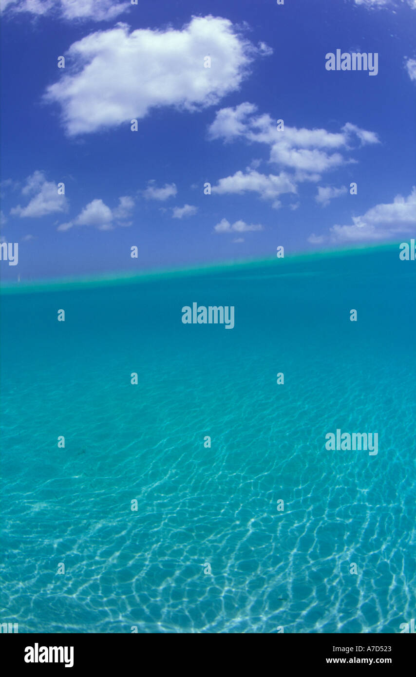 Clear Blue Sky Over Ocean