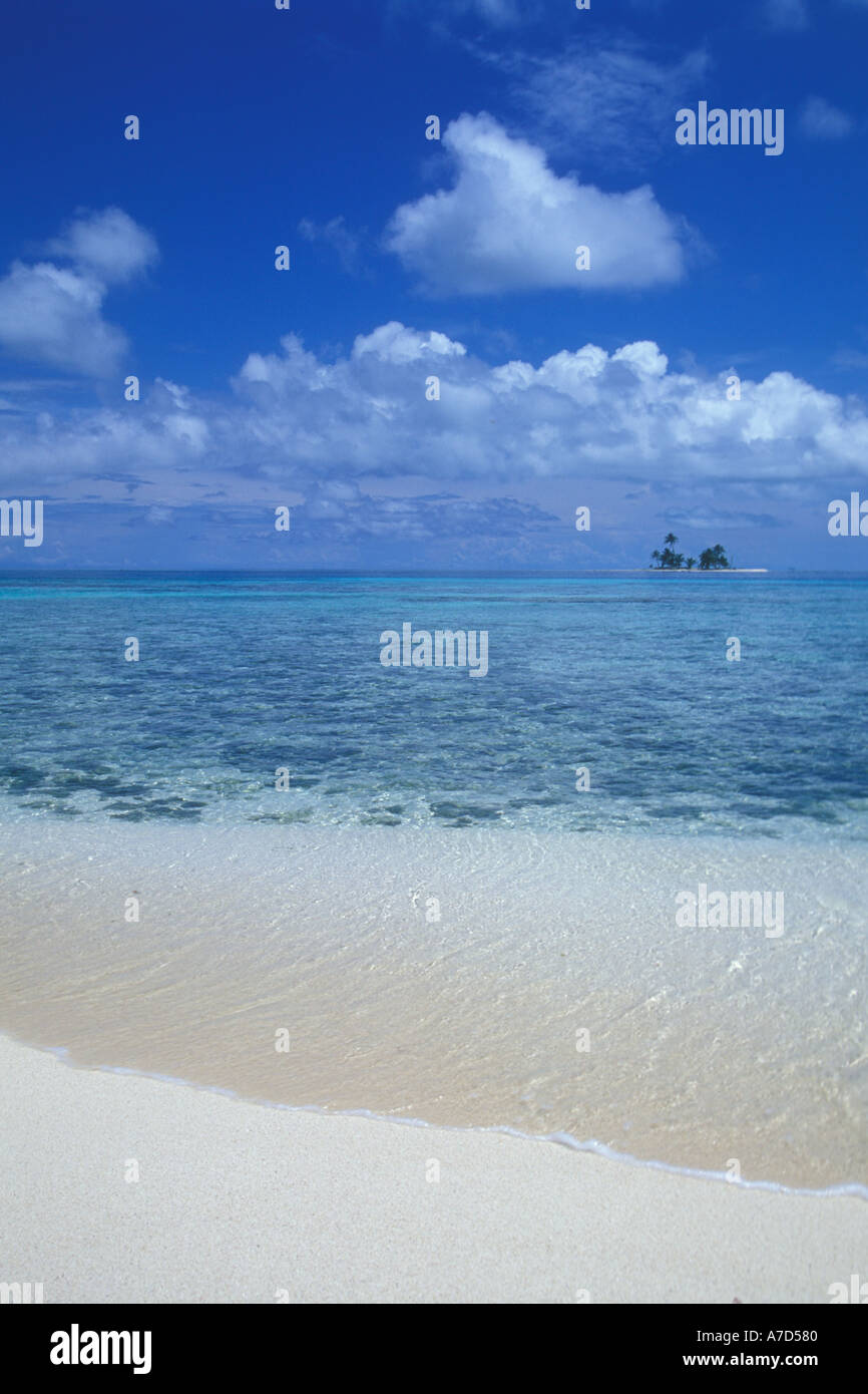 TROPICAL ISLAND BELIZE CENTRAL AMERICA Stock Photo - Alamy