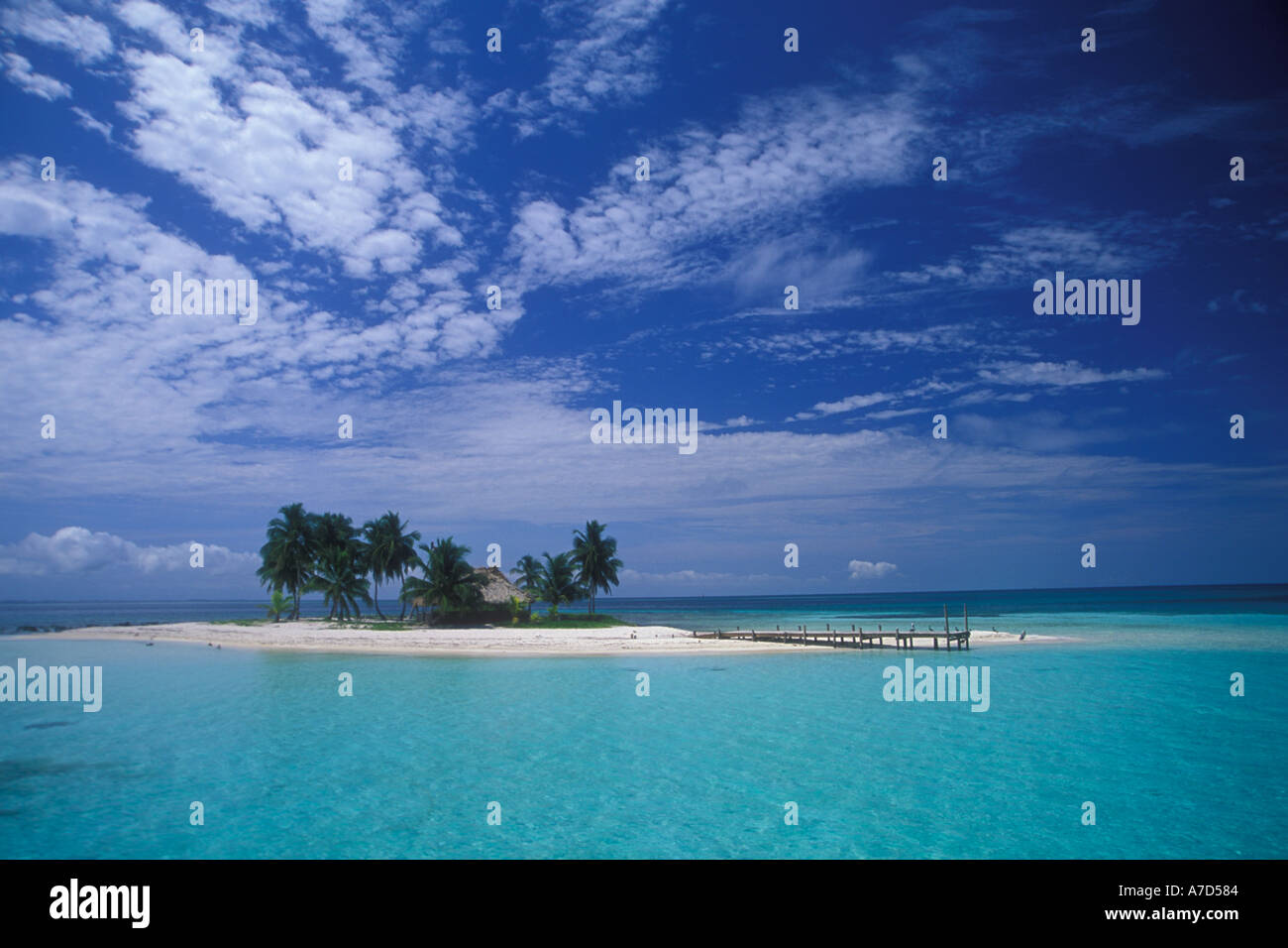 TROPICAL ISLAND BELIZE CENTRAL AMERICA Stock Photo - Alamy