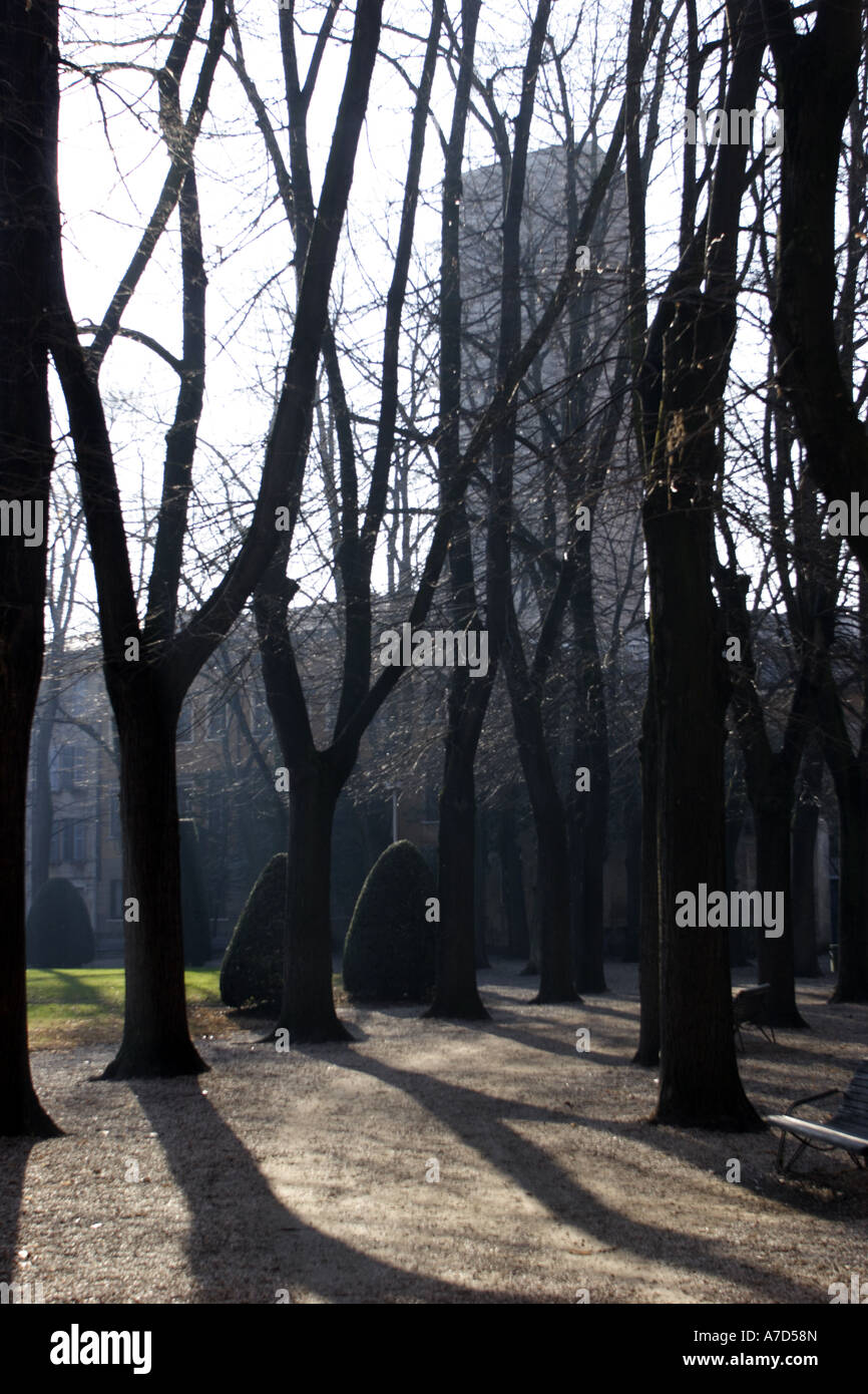 Prune man christmas hi-res stock photography and images - Alamy