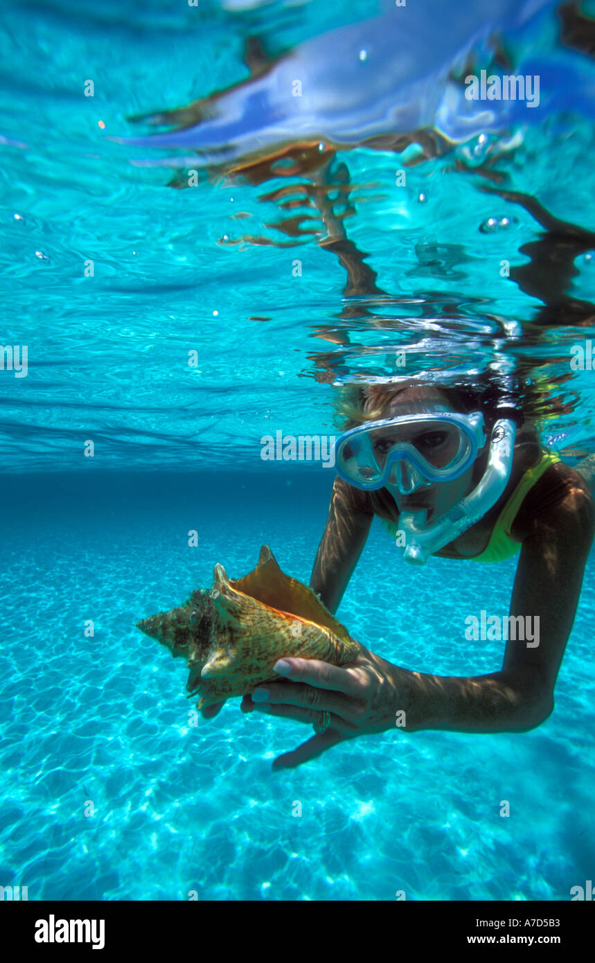 A FEMALE SNORKELER HOLDS A QUEEN CONCH SHELL STROMBUS GIGAS IN THE ...