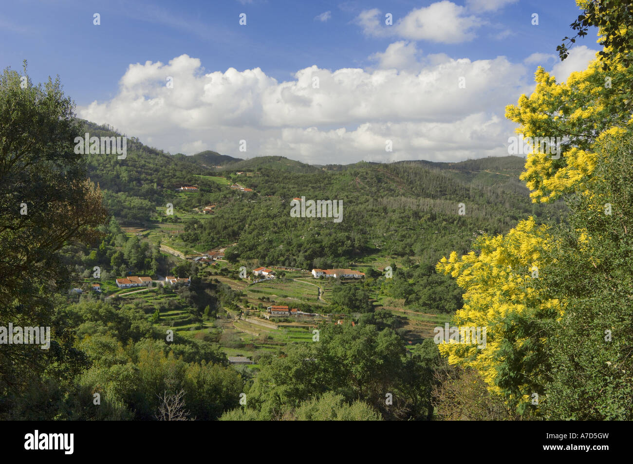 Monchique hi-res stock photography and images - Alamy