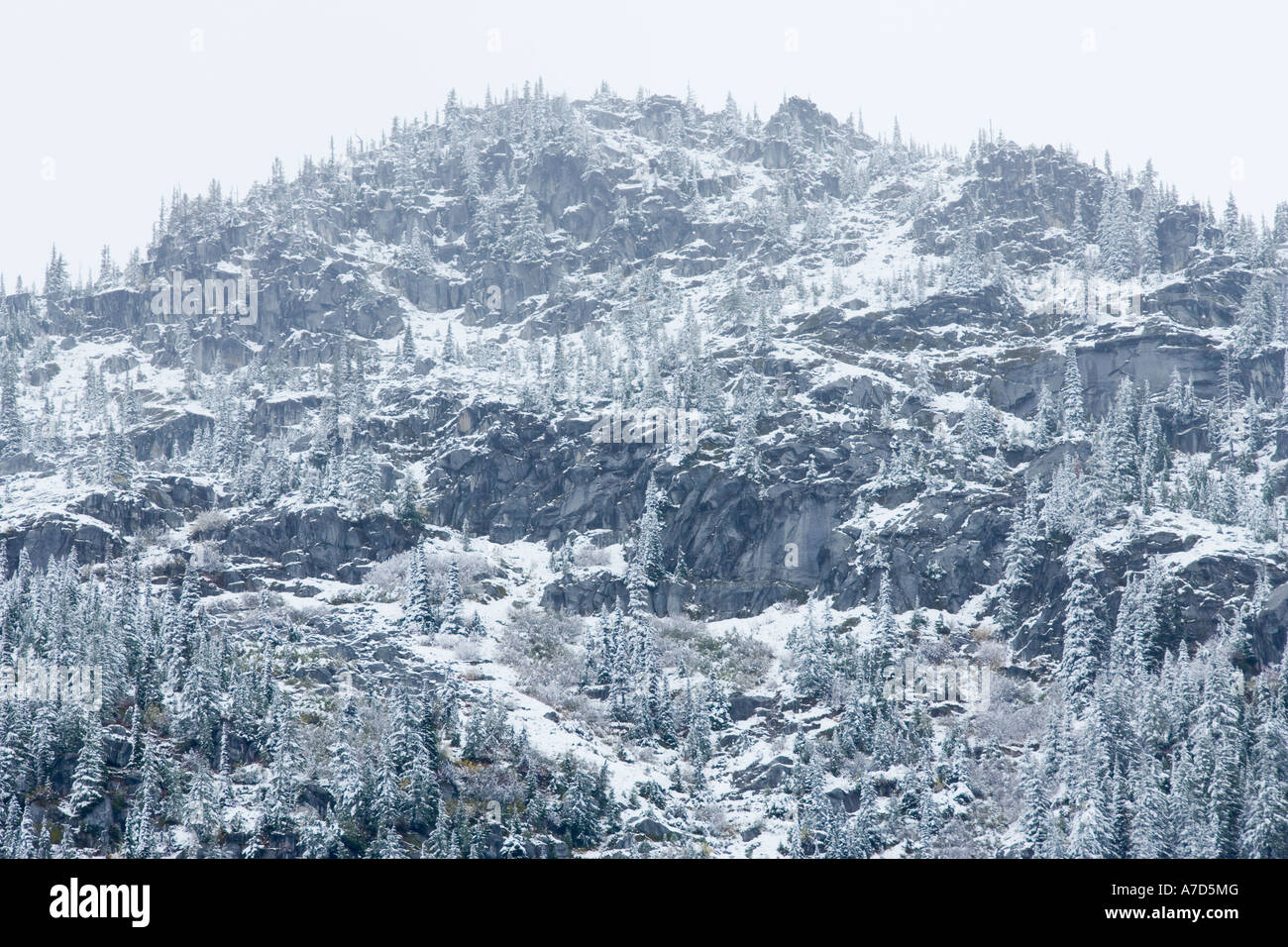 Central Cascade mountainside early fall snow Washington USA Stock Photo ...