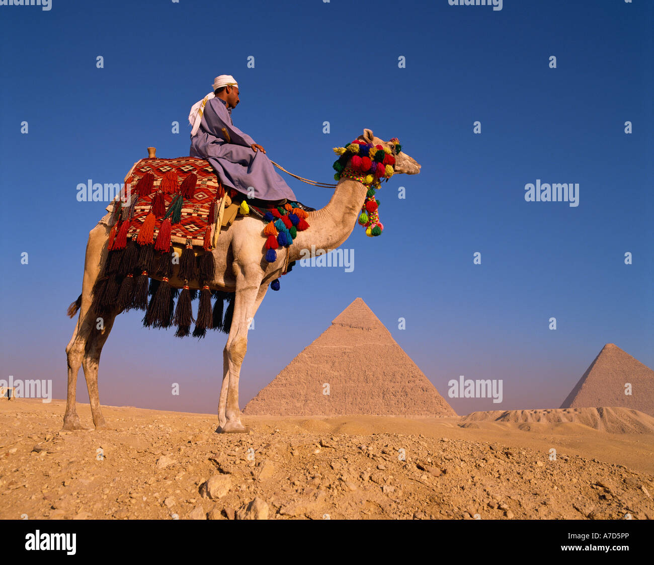 Cairo, Giza, Chephren And Cheops Pyramids Stock Photo - Alamy