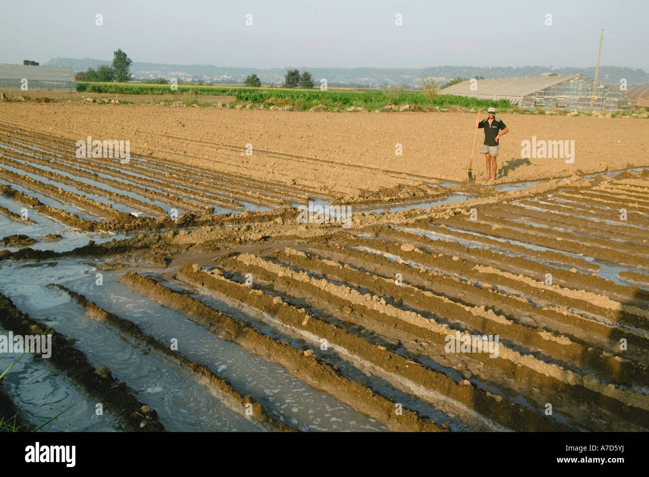 Man opening up irrigation channel before planting potatoes on farmland ...