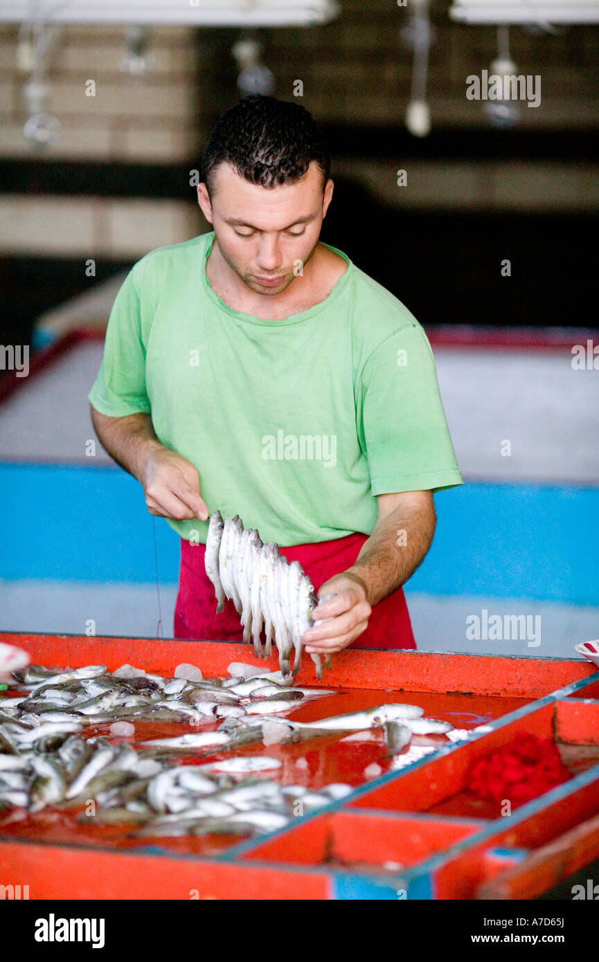 Man processing fish caught from tha Black Sea in the Turkish City of ...