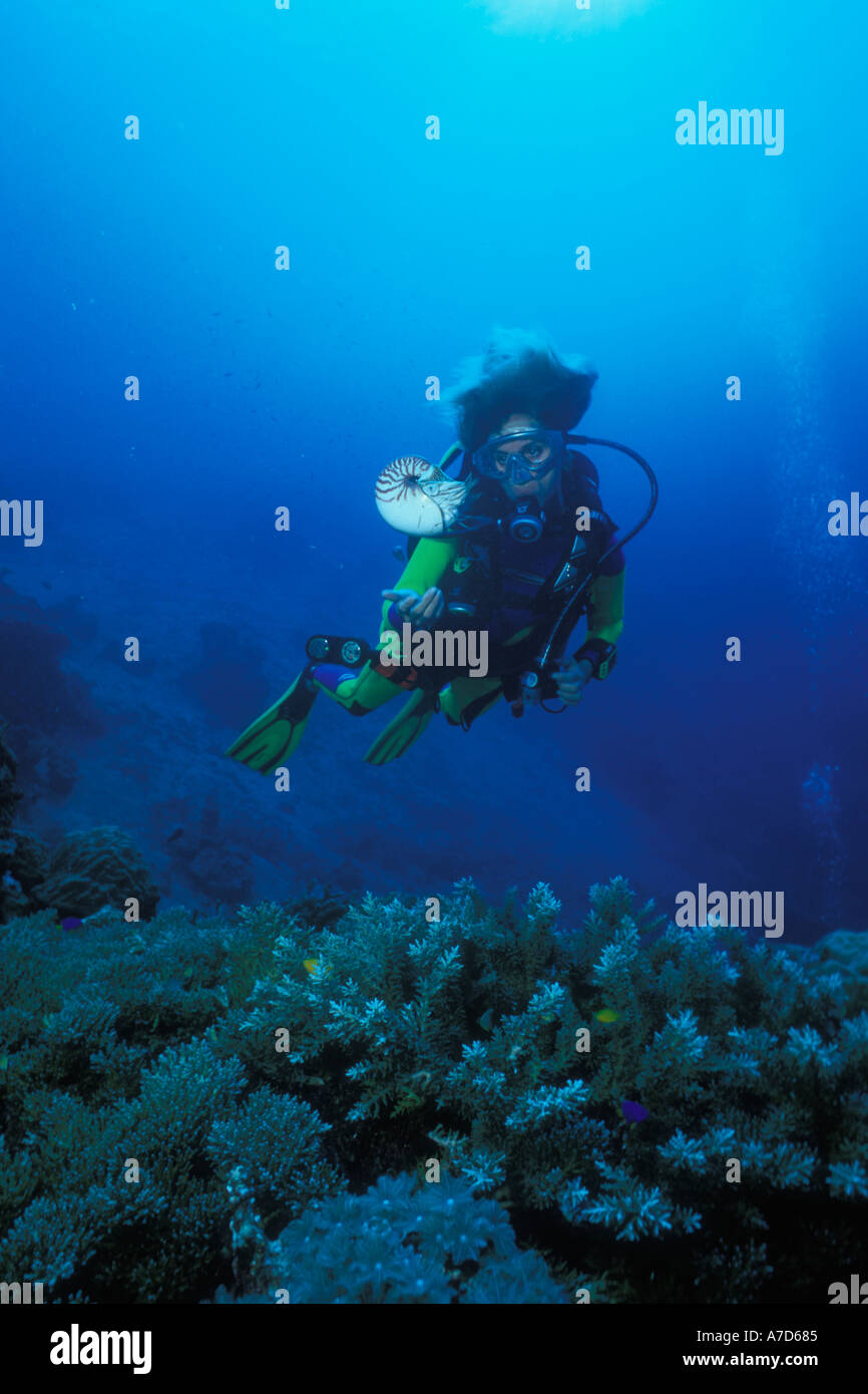 FEMALE SCUBA DIVER WITH A CHAMBERED NAUTILUS NAUTILUS MACROMPHALUS ...
