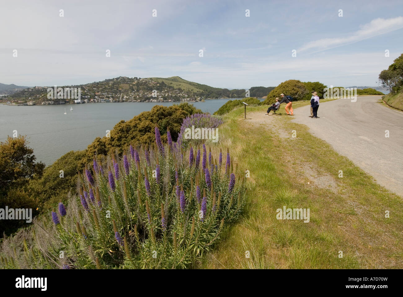 Hikers on perimeter road of Angel Island State Park in San Francisco ...