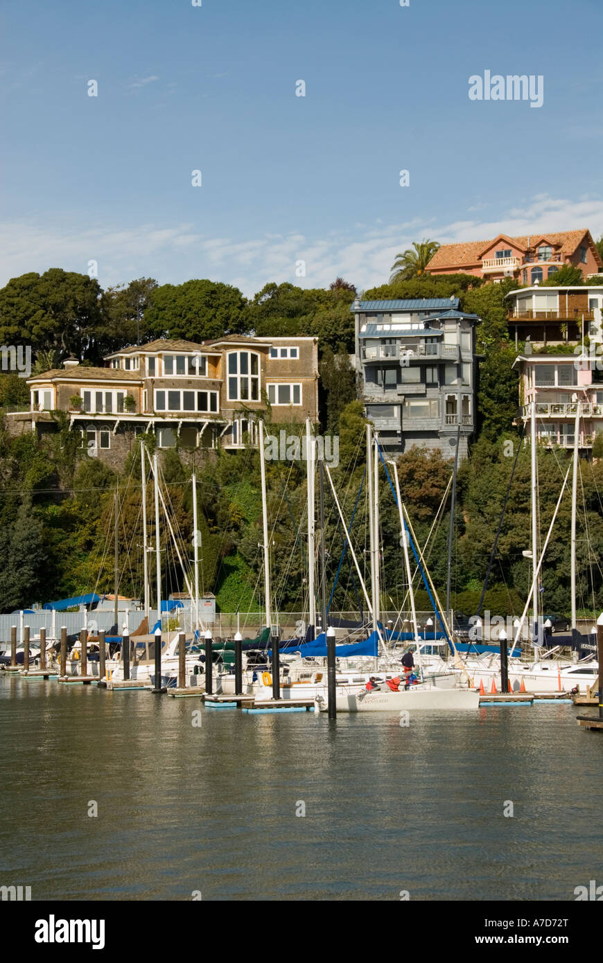 Sailboats and houses City of Tiburon on San Francisco Bay CA California ...