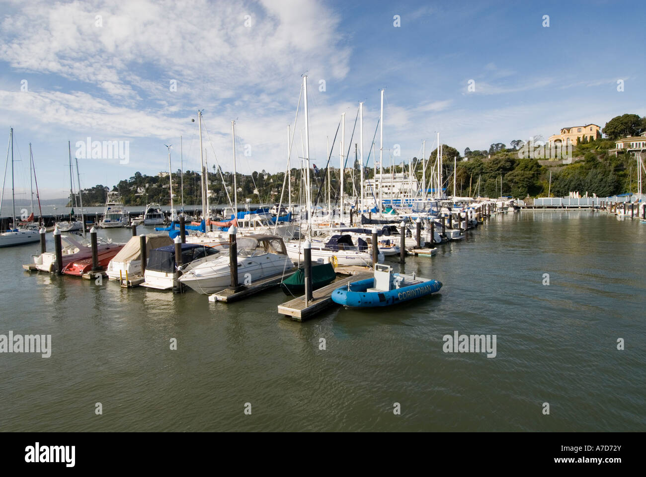 Sailboats and water City of Tiburon on San Francisco Bay CA California ...