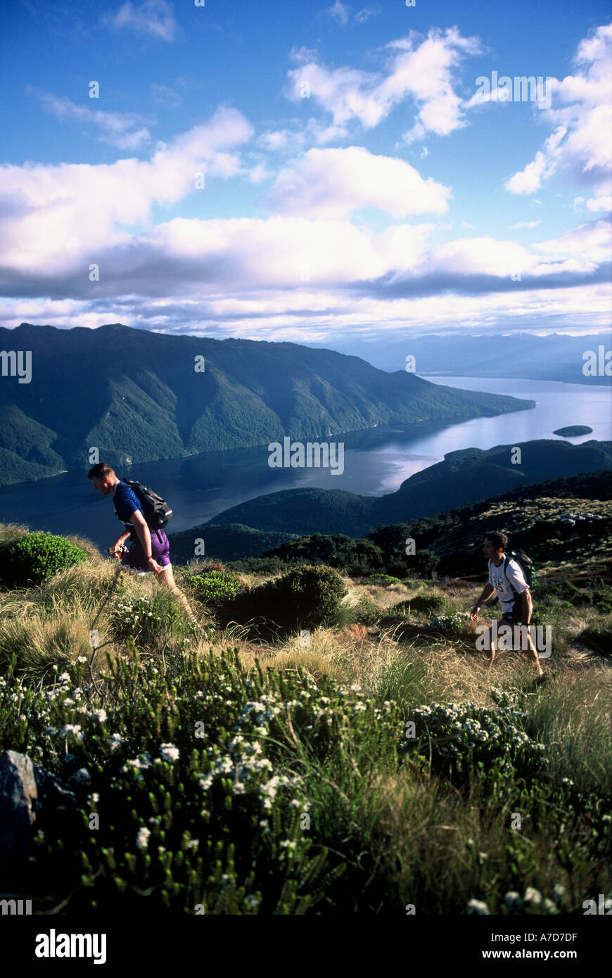 Kepler challenge hi-res stock photography and images - Alamy